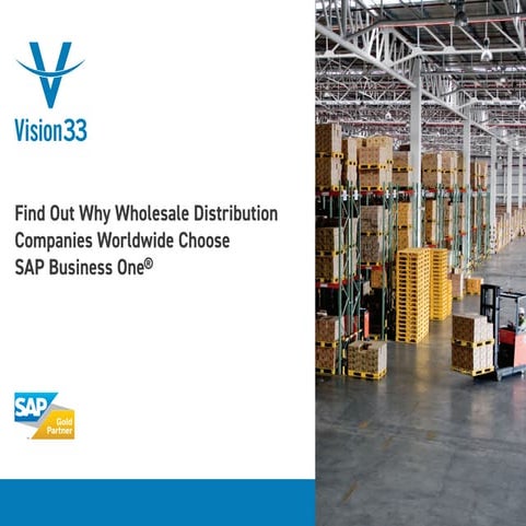 SAP Business One Distribution Success Stories | PDF