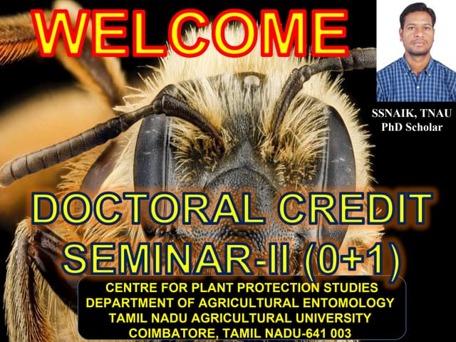 Insect vision | PPTX