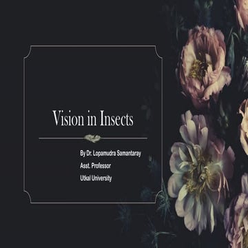 Vision in Insects (simple eye, compound eye).pptx