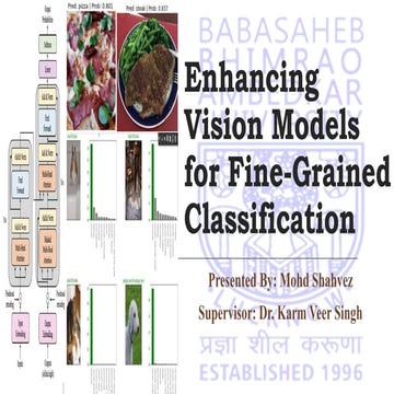 Enhancing Vision Models for Fine-Grained Classification | PPTX
