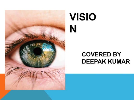 Anatomy of eye ppt | PPTX | Eye and Vision Conditions | Diseases and Conditions