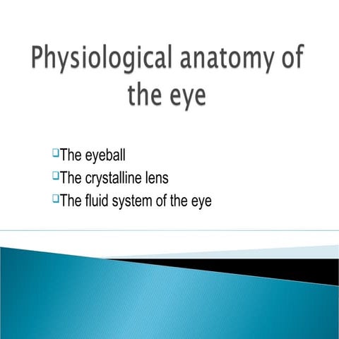 physiology of vision | PPT