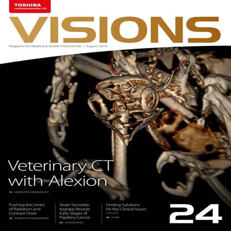 Toshiba's VISIONS Magazine - issue 24 | PDF | Physical Therapy | Wellness