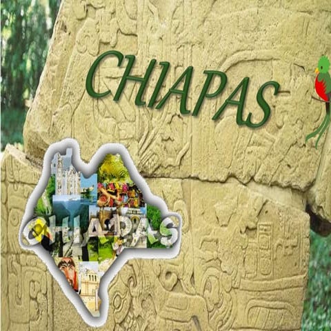 Censo 2010 chiapas | PPTX