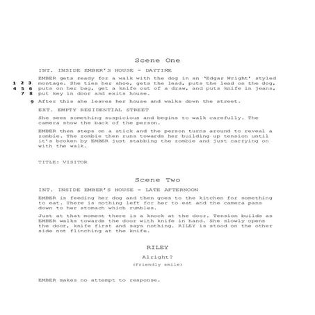 Visitor script | PDF
