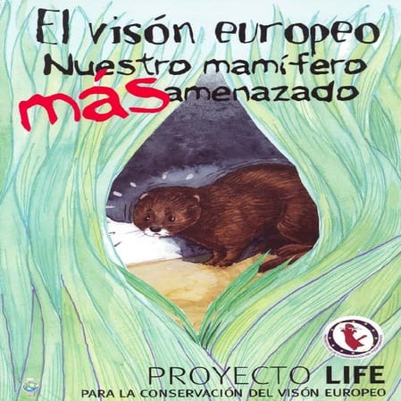 Vison europeo comic | PDF