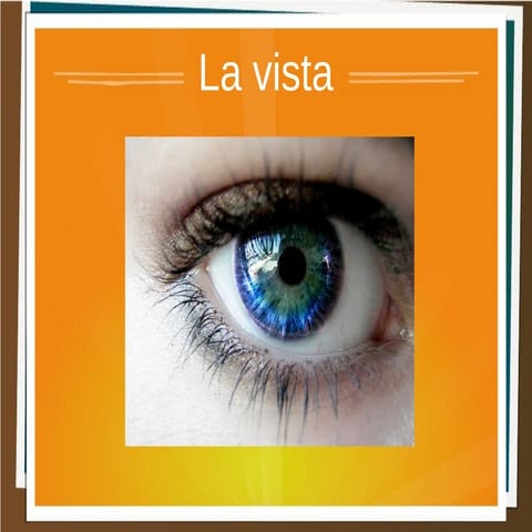 El sentido de la vista | PPTX