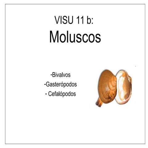 Visu 11 b moluscos | PDF