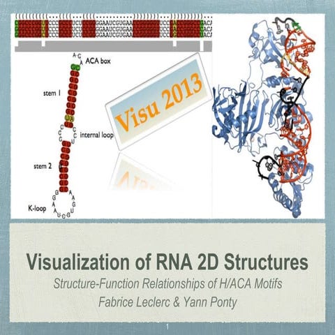 Visualization of RNA 2D Structures - Structure/function relationships ...