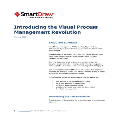 Visual Process Management (VPM) | PDF