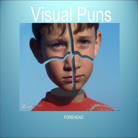 Visual Puns | PPS