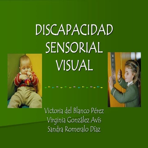 Visual 2006 ei | PPTX