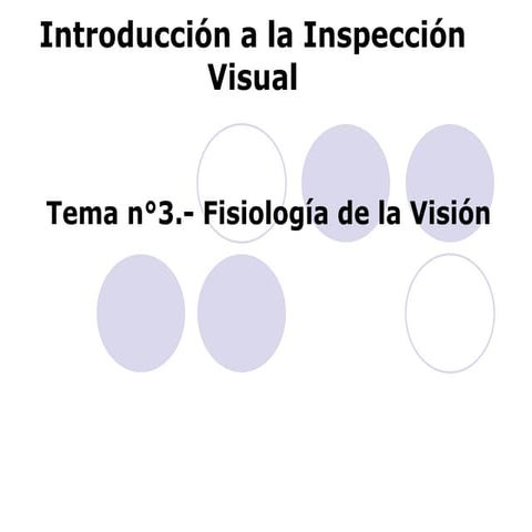 Visual2 Inspección Visual | PPT