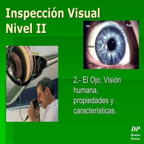 Visual2-C Inspección Visual
