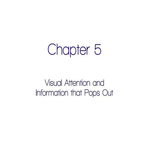 Visual Attention | PDF