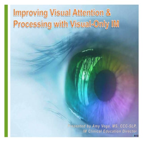 Visual Attention & Processing with Visual-Only IM | PPTX | Physical ...