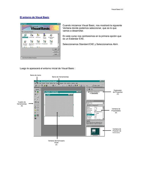 Programa de visual basic | PDF