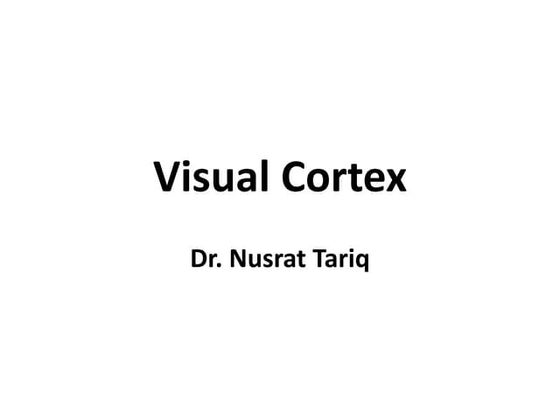 Light reflex | PPTX | Eye and Vision Conditions | Diseases and Conditions