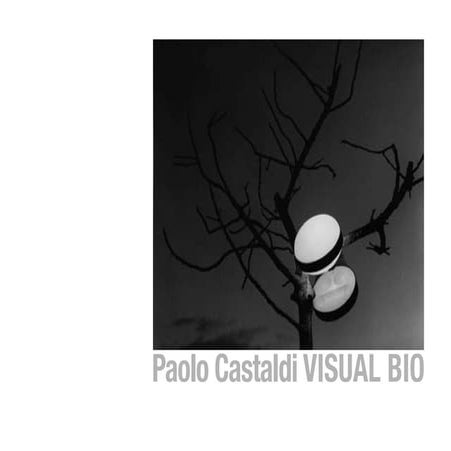 Paolo Castaldi Visual Bio 1969-2005 | PDF | Fine Art
