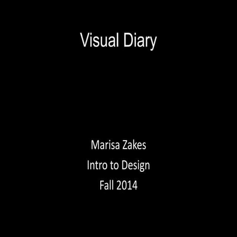 Visual diary | PPT