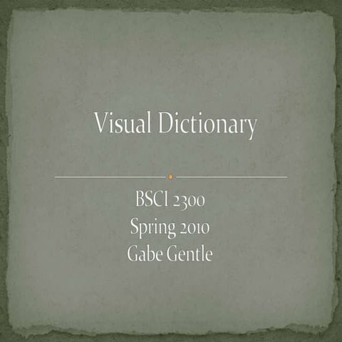 Visual Dictionary BSCI 2300 | PPTX | Woodworking | Arts and Crafts