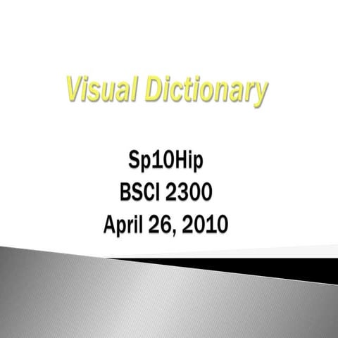 Visual dictionary - Sb10Hip | PPTX