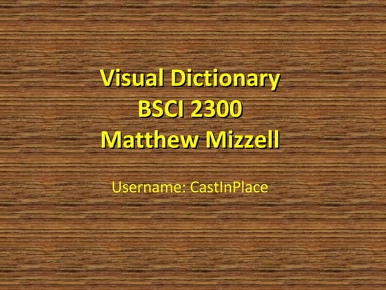 Curtain wall house, Shigeru Ban | PDF | Interior Decorating | Home & Garden