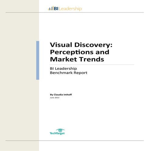 Visual discovery perceptions and market trends | PDF