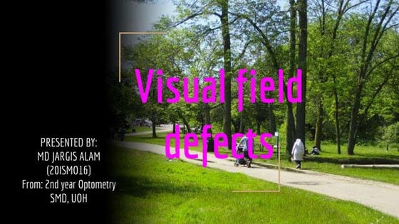 Visual field defects | PPTX