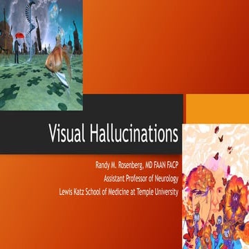Visual hallucinations | PPTX