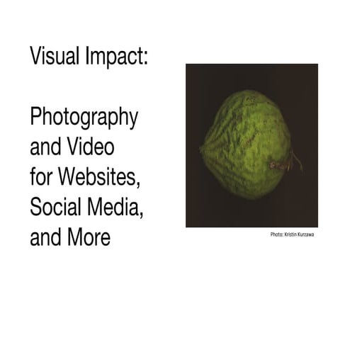 Visual Impact: Photography and Video for Websites, Social Media and ...