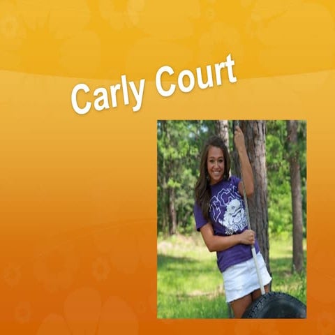 Visual introduction | PPT