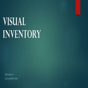 Visual inventory | PPT