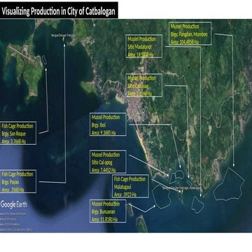 Visualizing Production(Cages and Mussel)2.pptx