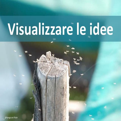 Visualizzare le idee - Freelancecamp 2013 | PPTX