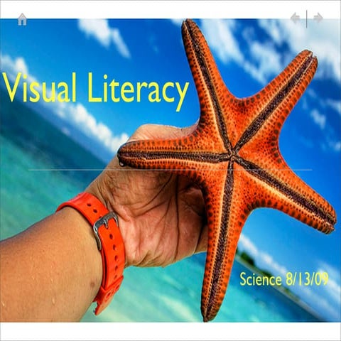 Visual literacy test | PPT