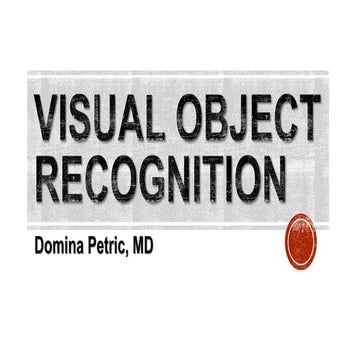 Visual Object Recognition Ppt