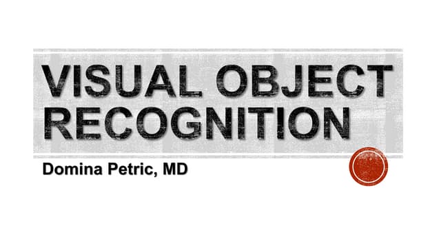 Visual Object Recognition Ppt