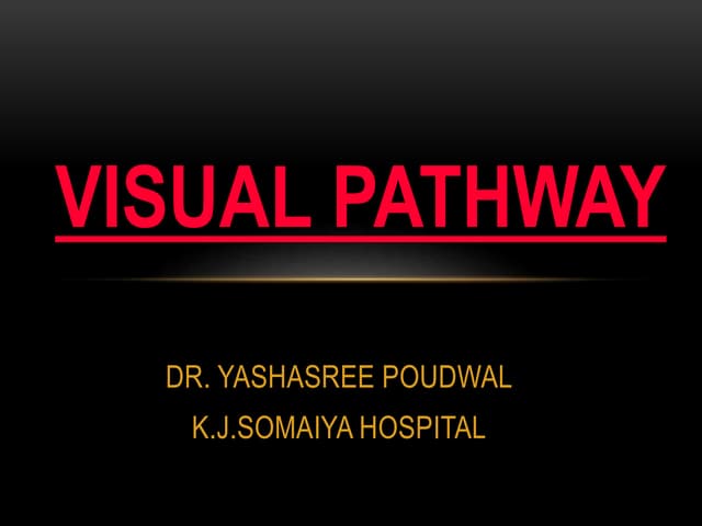 Visual Pathway - Ophthalmology - Eye | PPTX