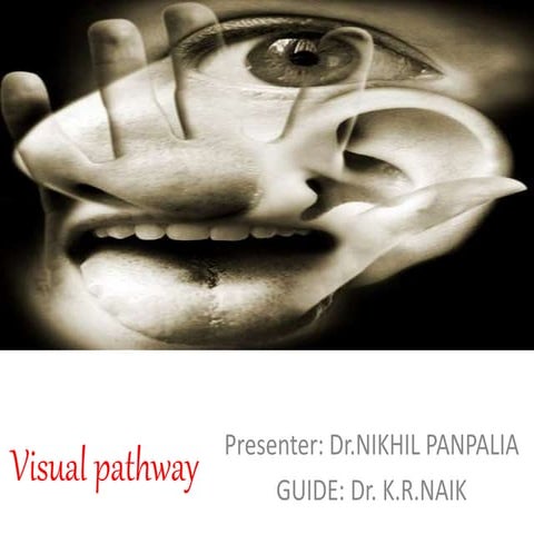 Visual pathway | PPTX