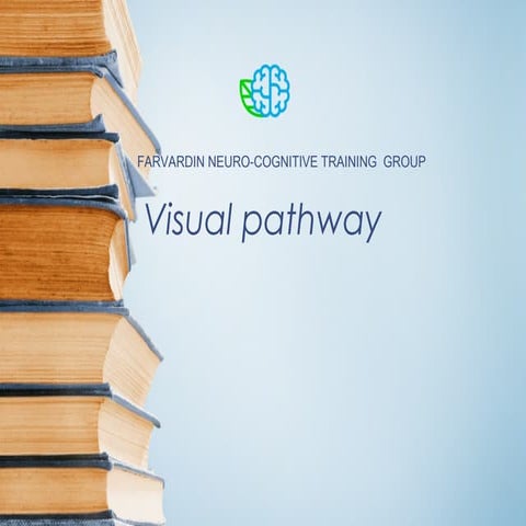 Visual pathway | PPT