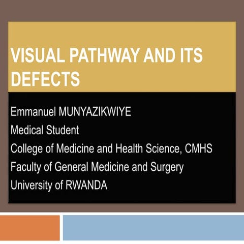 Visual pathway and its defects | PPTX
