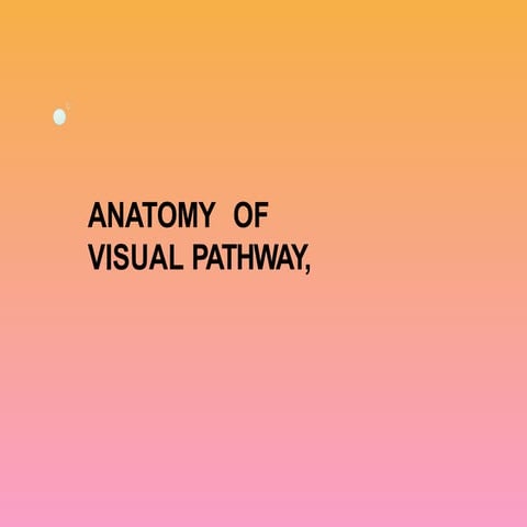 Visual pathway of the human eye anatomyy | PPTX