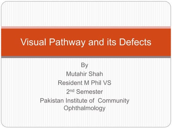 Visual pathway | PPTX | Eye and Vision Conditions | Diseases and Conditions