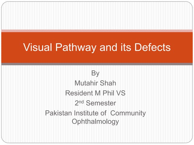 Visual pathway | PPTX