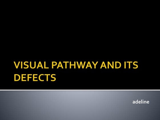 Visual field defects | PPTX