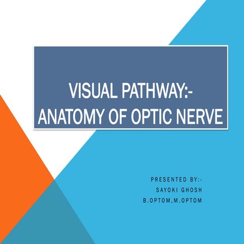 Anatomy of optic nerve | PPTX