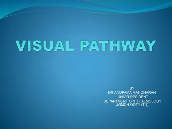 Muscles of the eye | PPTX | Eye and Vision Conditions | Diseases and Conditions