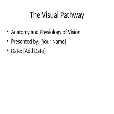 Visual_Pathway_Presentation_with_Images.pptx