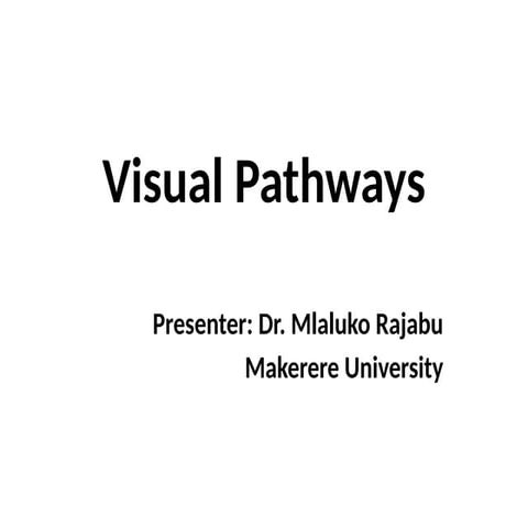 Comprehensive Visual Pathways Notes; The Visual Pathways is the ...